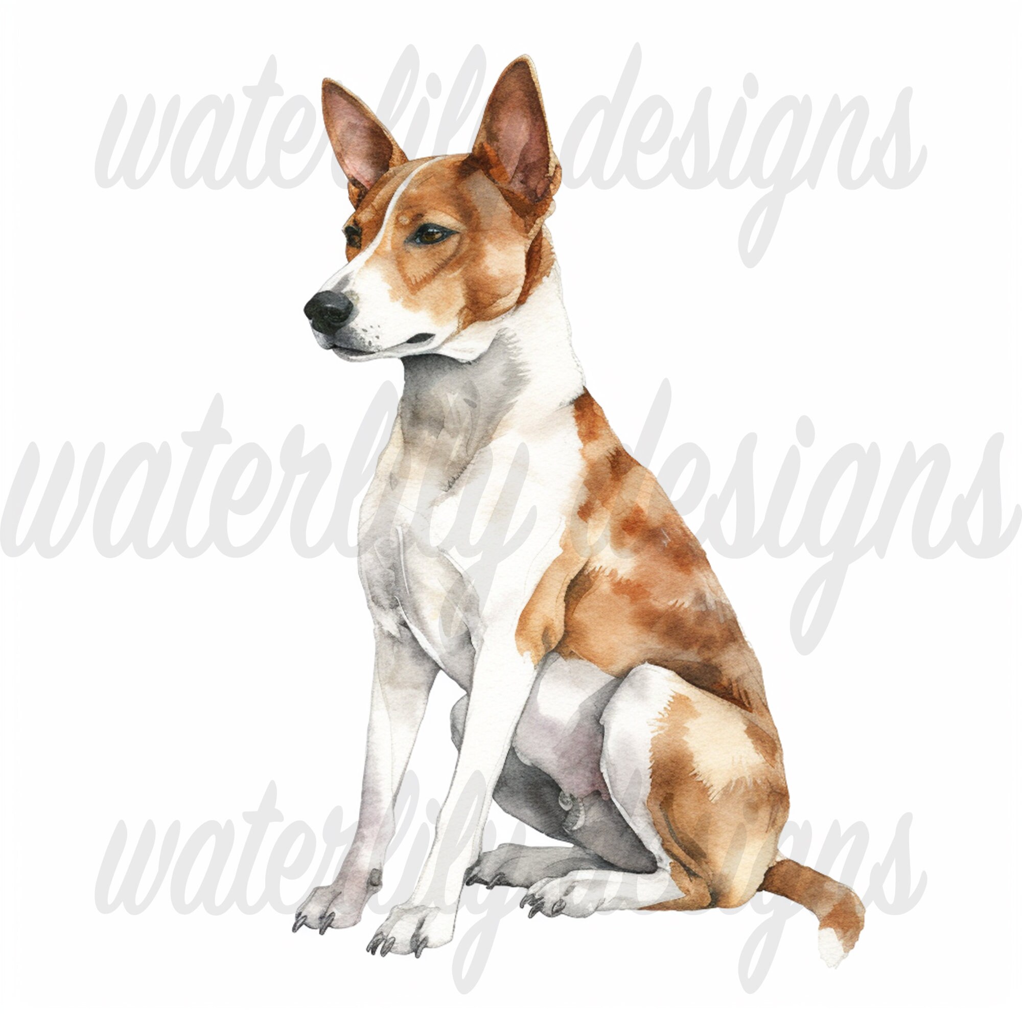 Basenji Clipart Bundle - 8 High Quality Vibrant Jpgs, Printable Planner ...