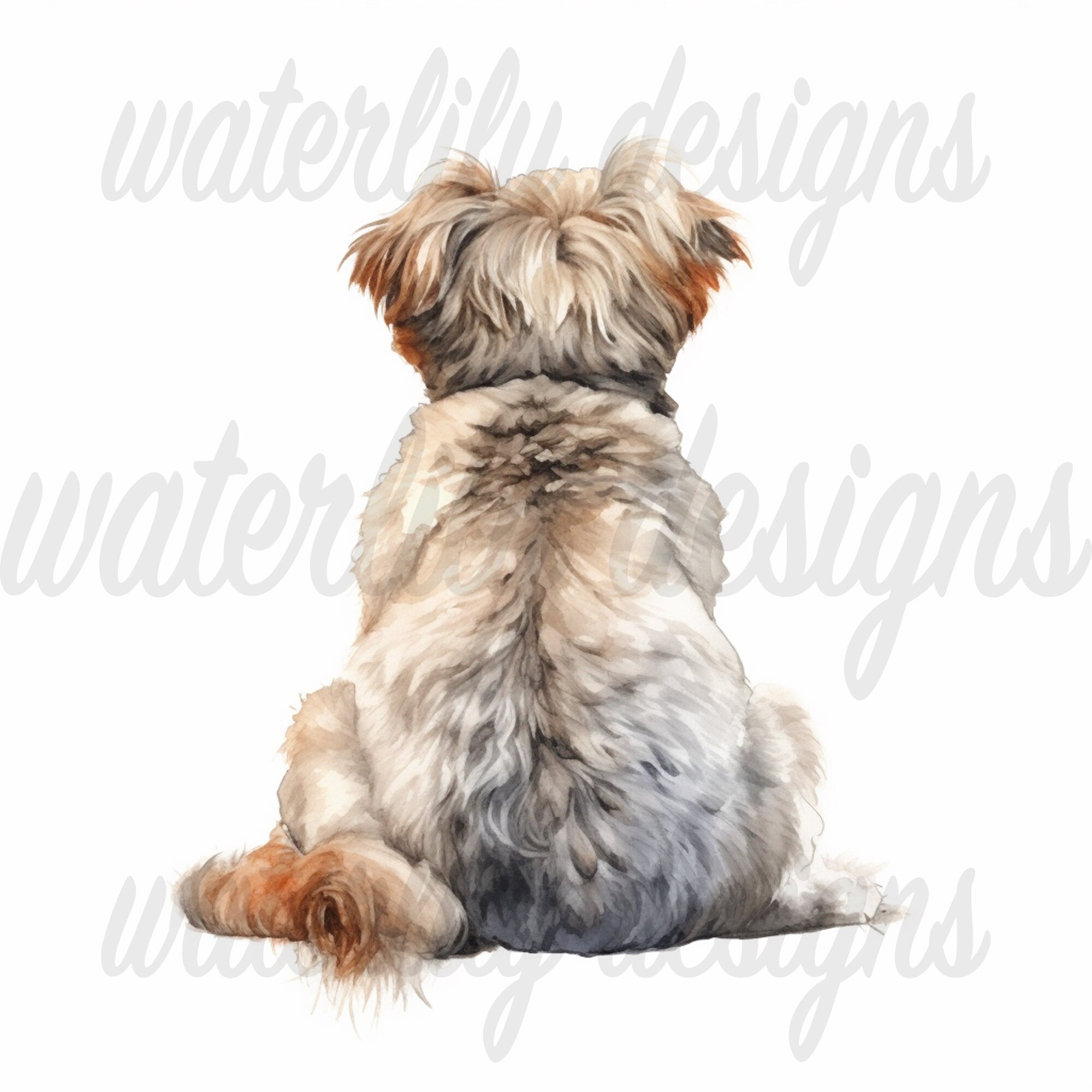 Peekapoo Clipart Bundle - 12 High Quality Vibrant Jpgs, Printable ...