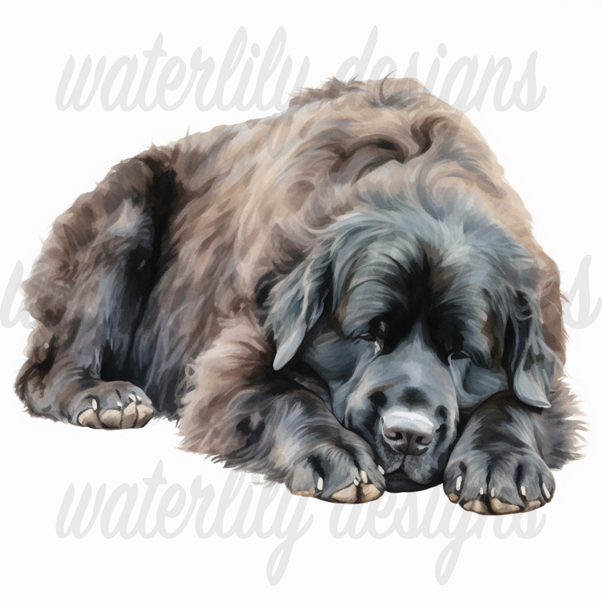 Newfoundland Clipart Bundle 13 High Quality Vibrant Jpgs, Printable ...