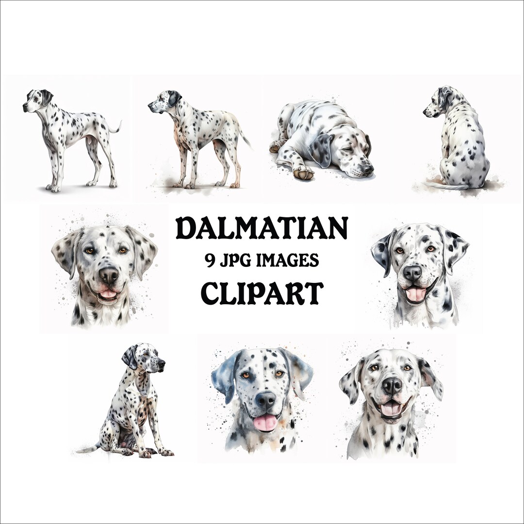 Dalmatian Clipart Bundle - 9 High Quality Vibrant Jpgs, Printable ...
