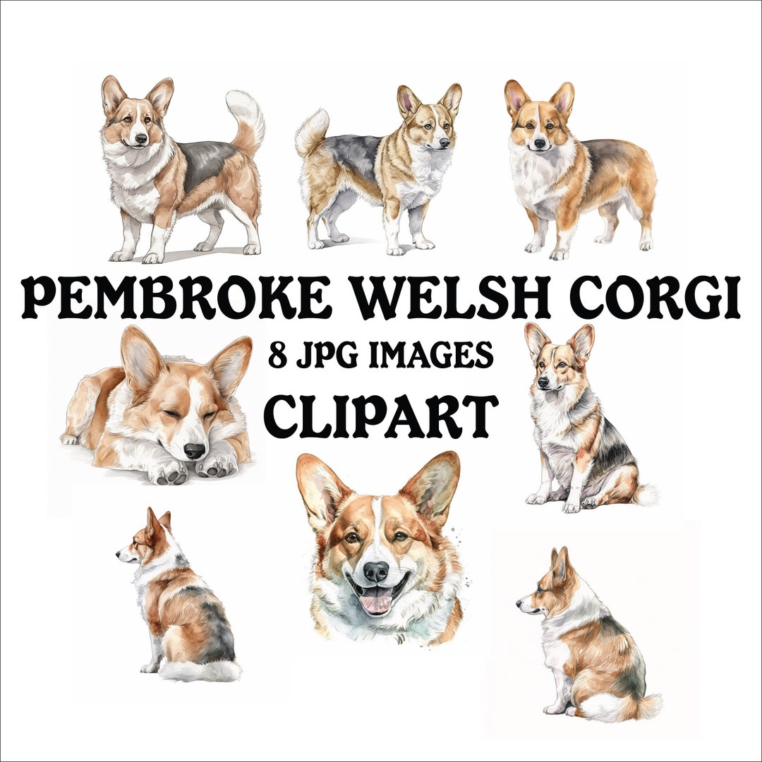 Pembroke Welsh Corgi Clipart Bundle: Vibrant Dog Art (digital Download ...