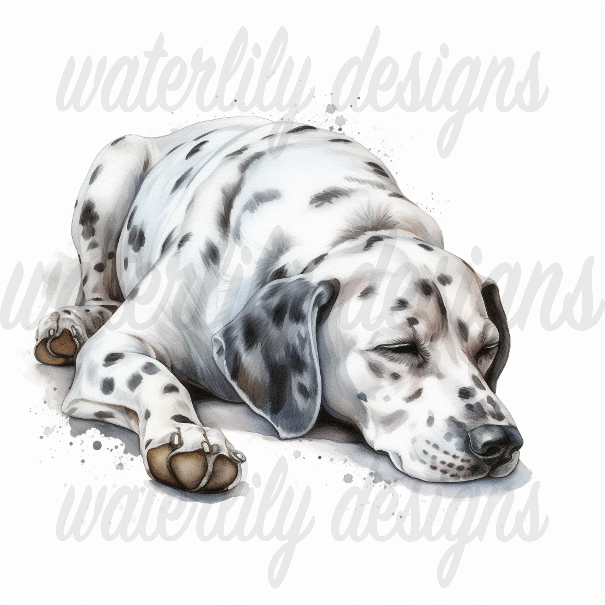 Dalmatian Clipart Bundle - 9 High Quality Vibrant Jpgs, Printable ...