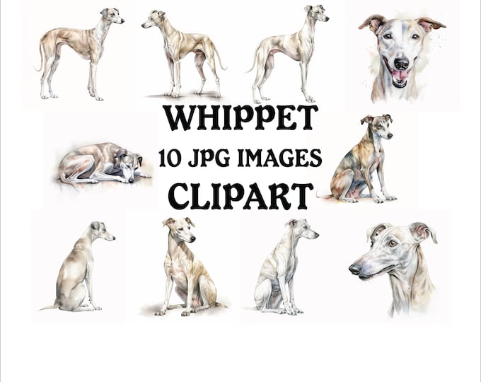 Whippet Puppies Clipart - 12 High Quality Jpgs - Instant Download ...