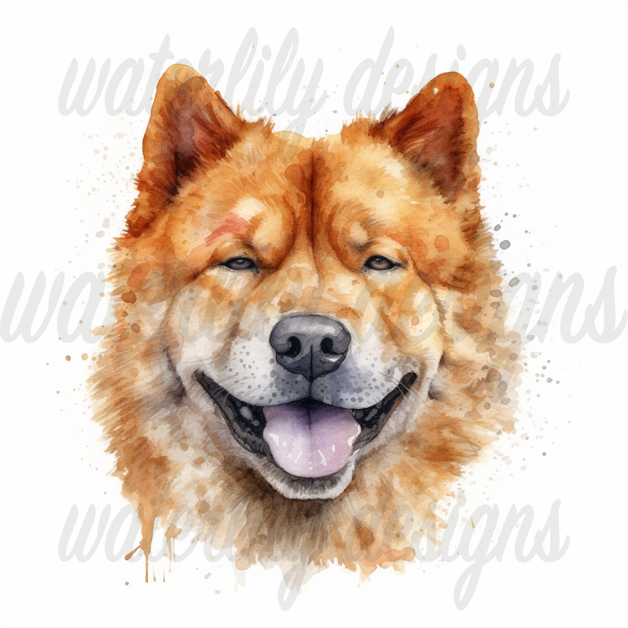 Chow Terrier Clipart Bundle 13 High Quality Vibrant Jpgs, Printable ...
