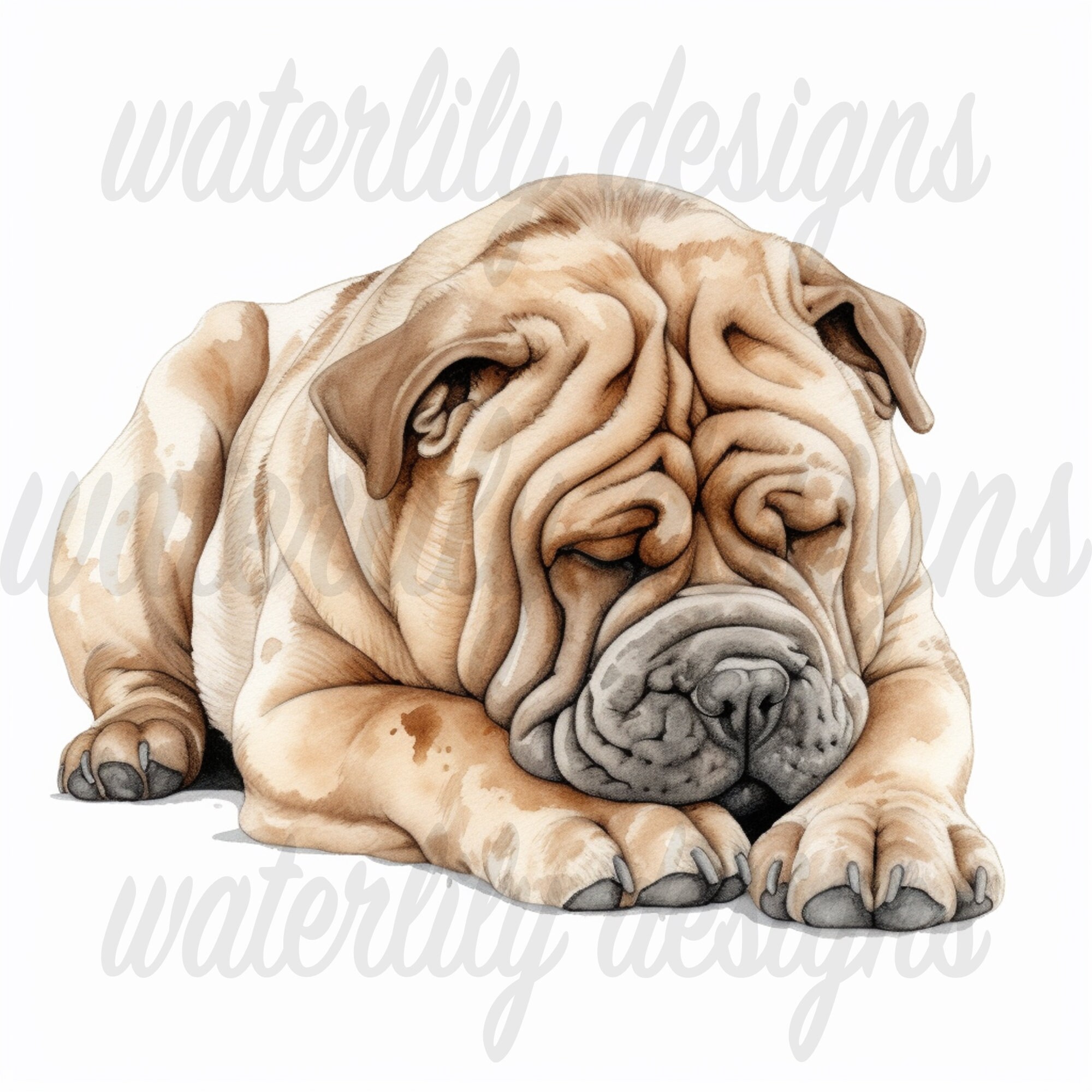 Shar Pei Clipart Bundle 9 High Quality Vibrant Jpgs, Printable Planner ...