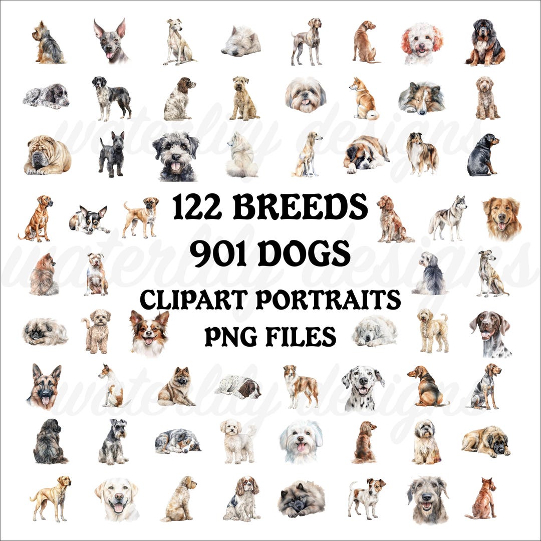 Watercolor Dog Clipart Bundle 901 High Quality Vibrant PNG Dog ...