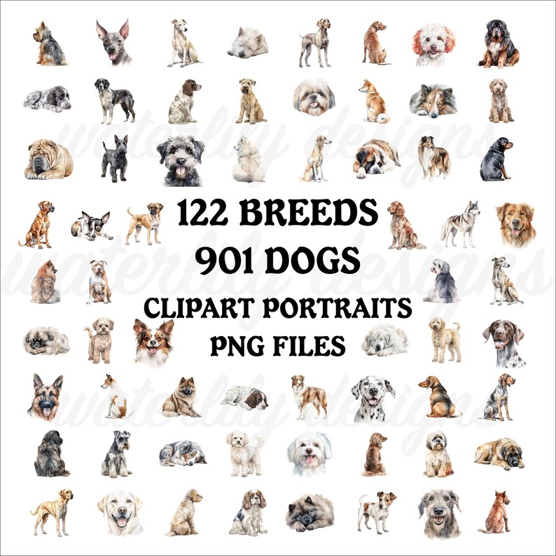 Watercolor Dog Clipart Bundle 901 High Quality Vibrant PNG Dog ...