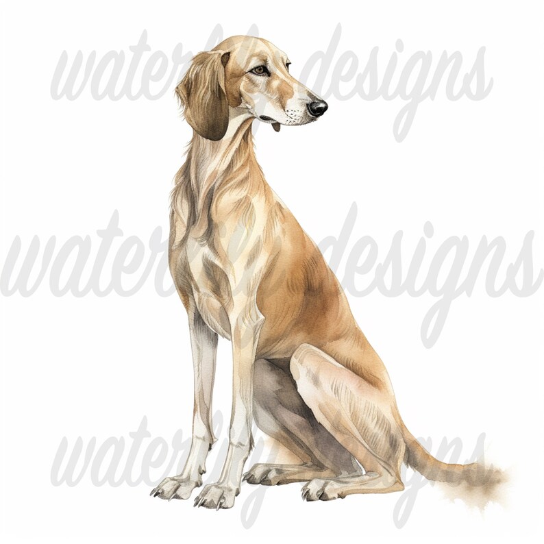 Saluki Clipart Bundle - 9 High Quality Vibrant Jpgs, Printable Planner ...