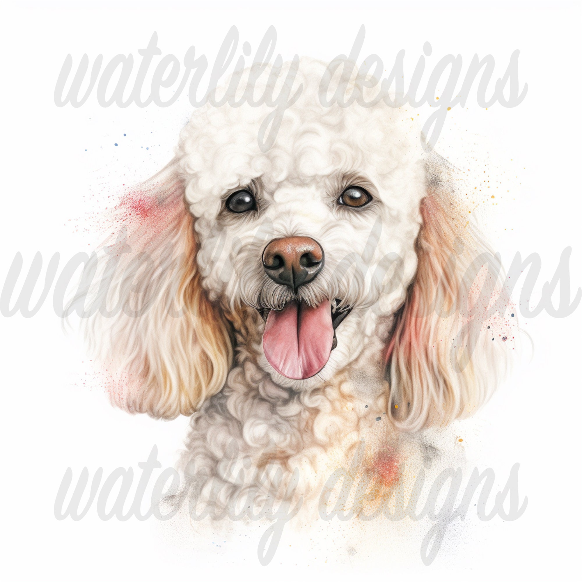 Corded Poodle Clipart Bundle 7 High Quality Vibrant Jpgs, Printable ...