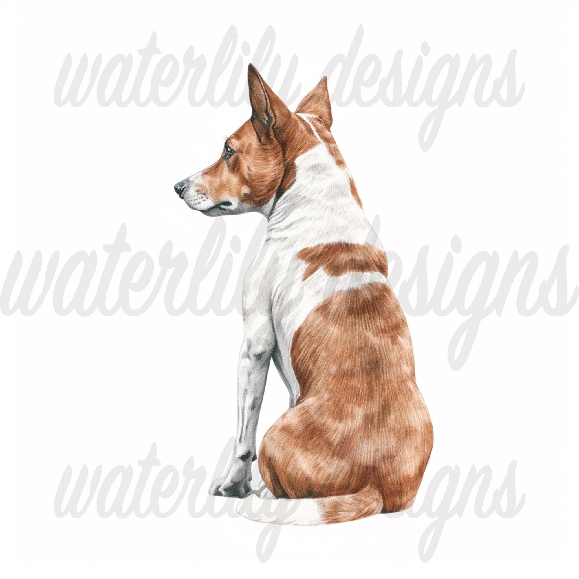 Basenji Clipart Bundle 8 High Quality Vibrant Jpgs, Printable Planner ...