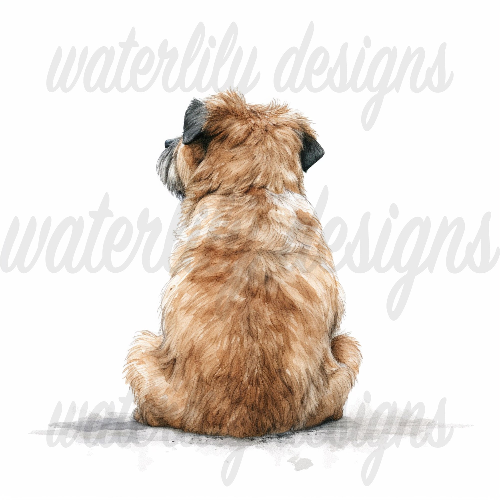 Chow Terrier Clipart Bundle 13 High Quality Vibrant Jpgs, Printable ...