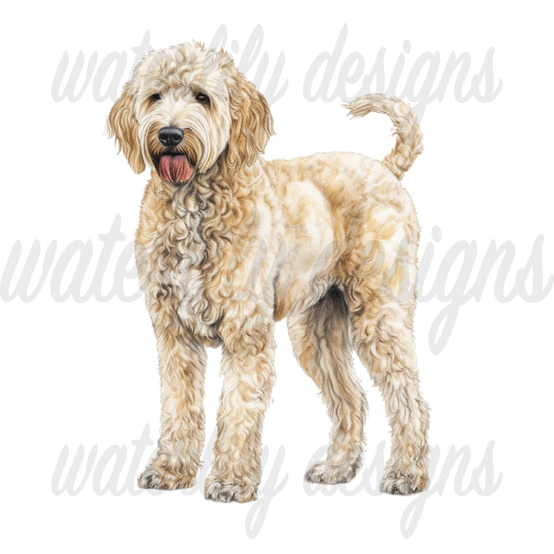 Goldendoodle Watercolor Clipart Bundle: High-resolution Pngs (digital ...