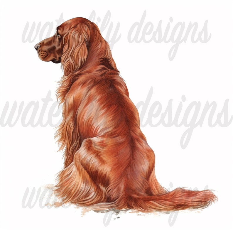 Irish Setter Clipart Bundle: 8 Vibrant Jpgs, Commercial Use (digital ...