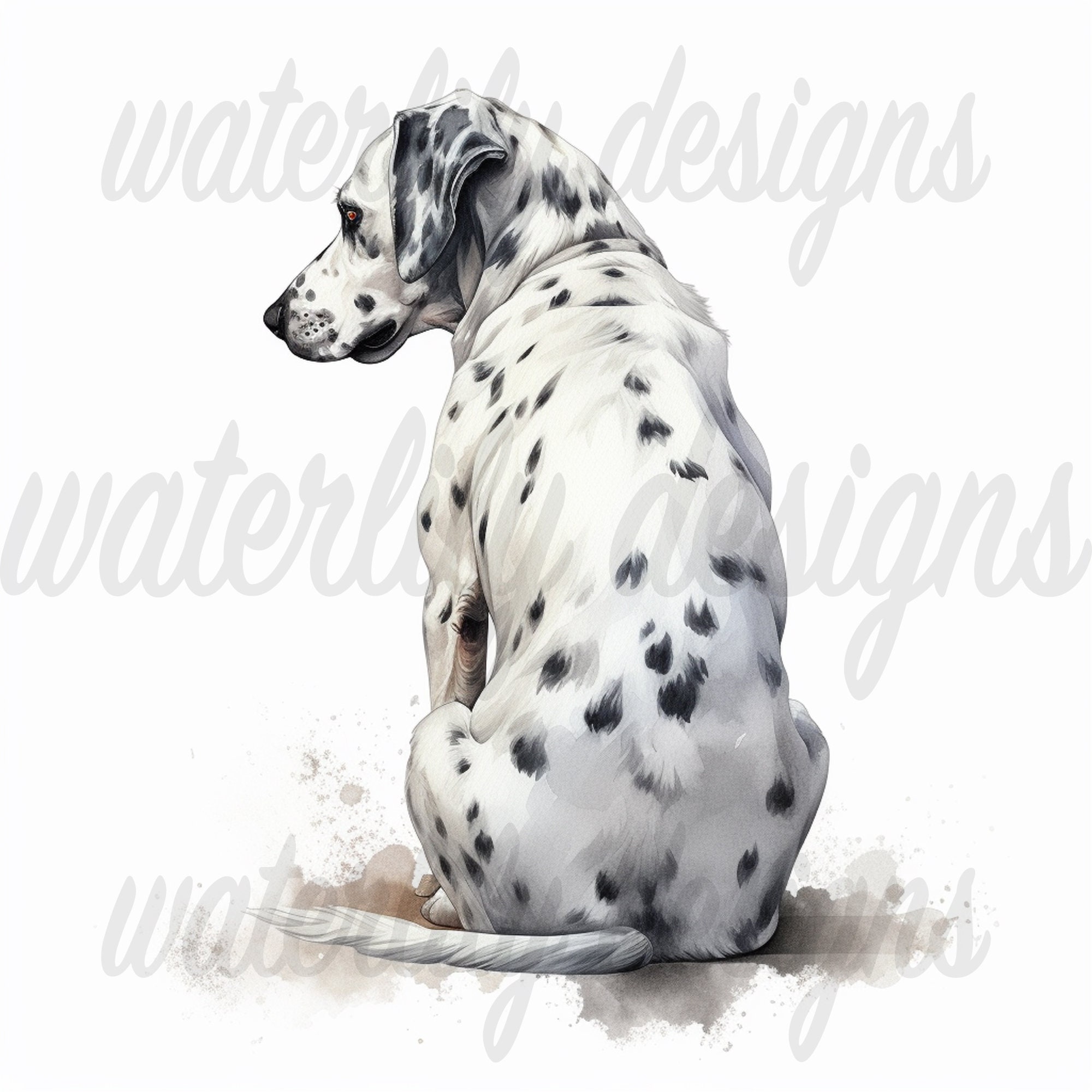 Dalmatian Clipart Bundle - 9 High Quality Vibrant Jpgs, Printable ...