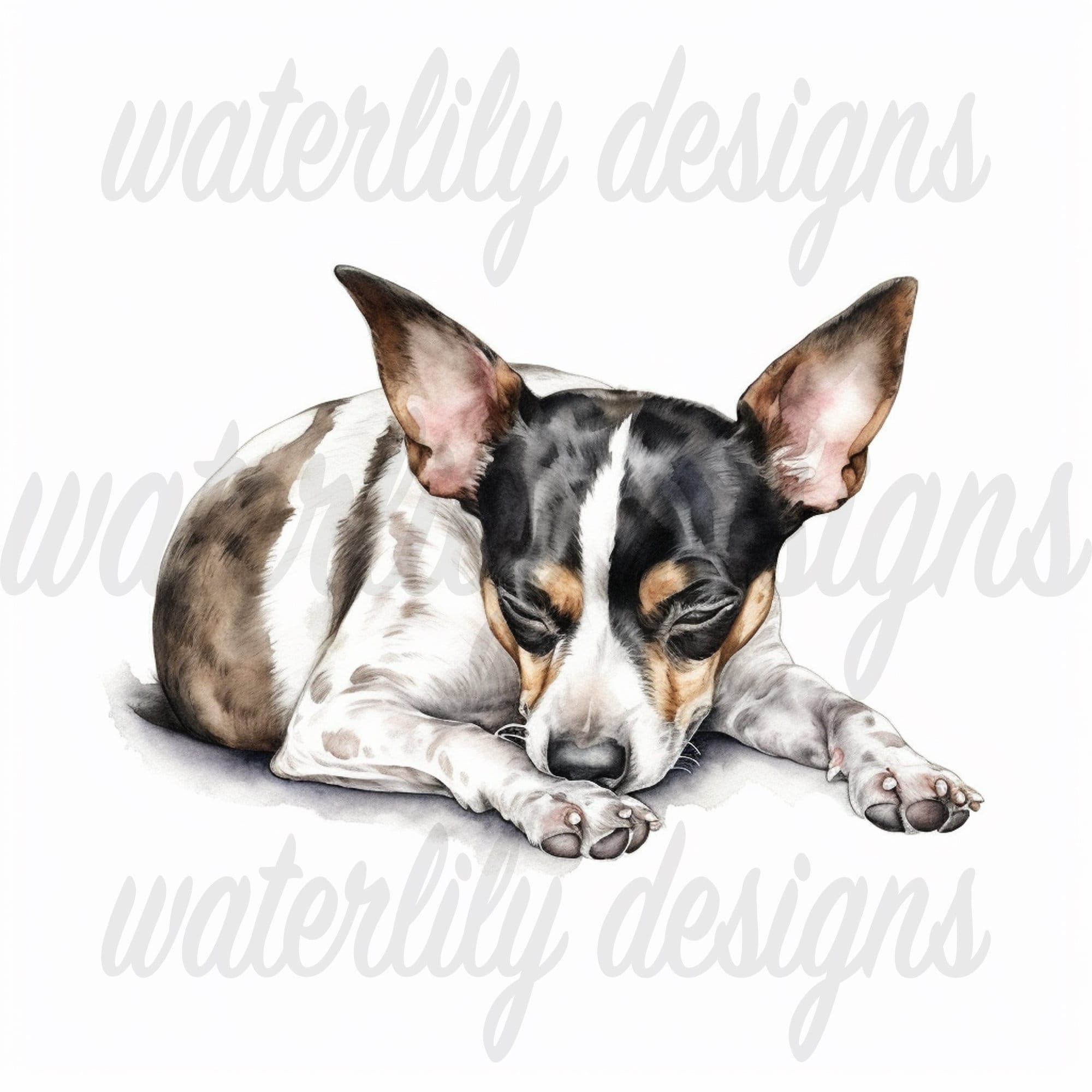 Rat Terrier Clipart Bundle - 8 High Quality Vibrant Jpgs, Printable ...