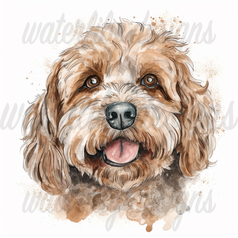 Cockapoo Watercolor Clipart Bundle: 16 Vibrant Jpgs (digital Download ...