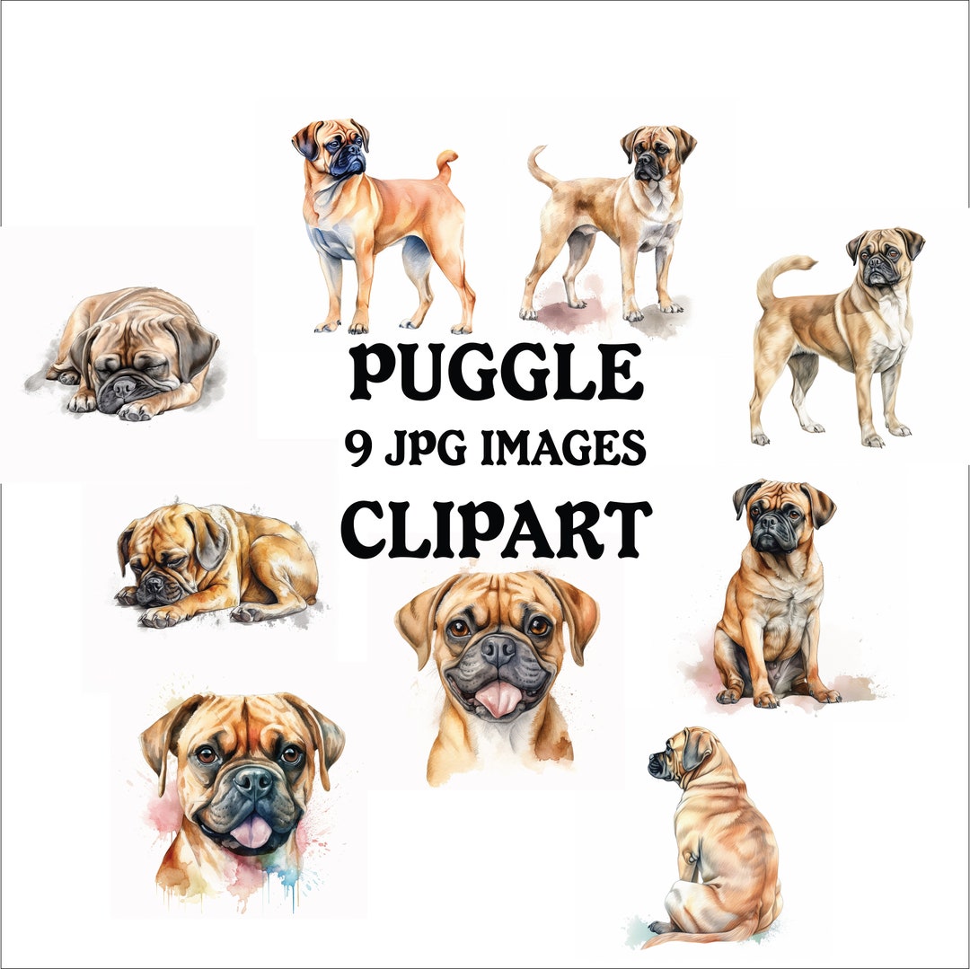 Puggle Clipart Bundle - 9 High Quality Vibrant Jpgs, Printable Planner ...