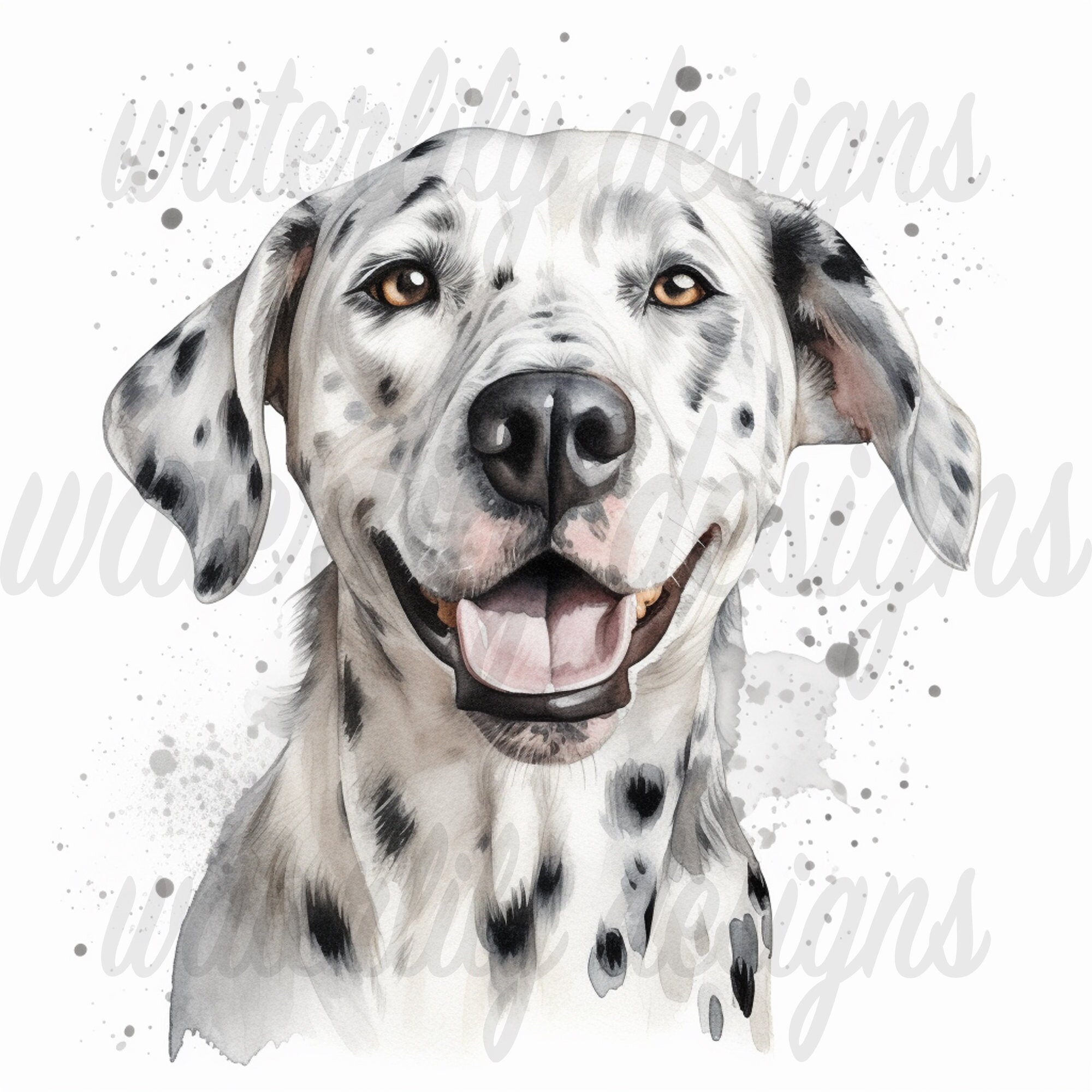 Dalmatian Clipart Bundle - 9 High Quality Vibrant Jpgs, Printable ...