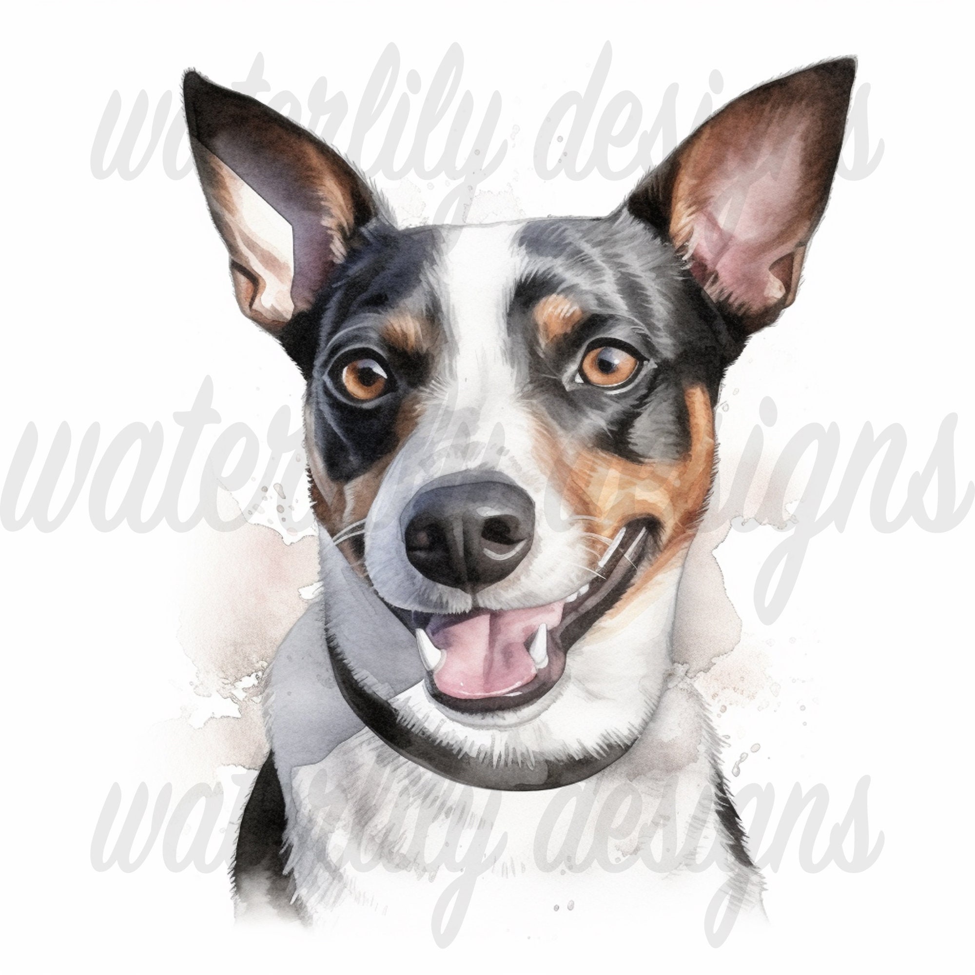 Rat Terrier Clipart Bundle - 8 High Quality Vibrant Jpgs, Printable ...