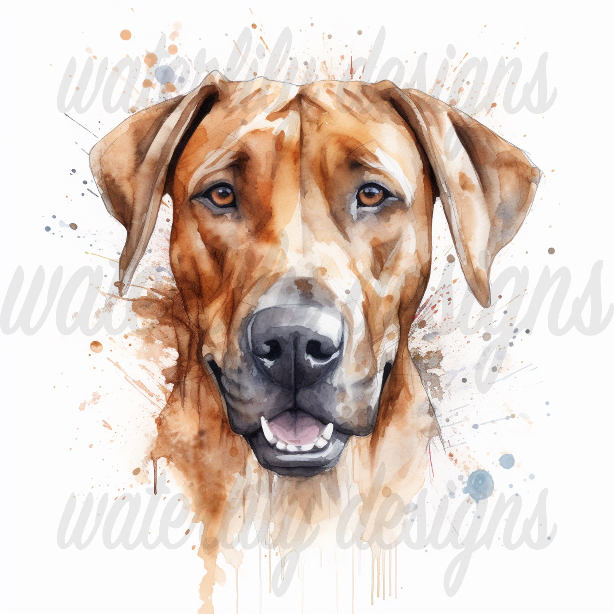 Rhodesian Ridgeback Clipart Bundle - 11 High Quality Vibrant Jpgs ...