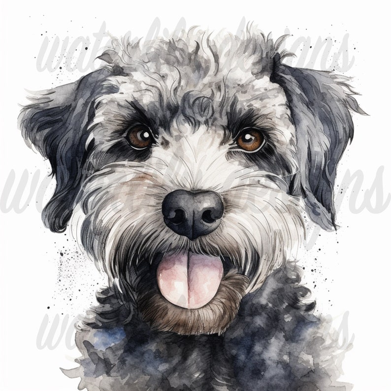 Schnoodle Clipart Bundle - 11 High Quality Vibrant Jpgs, Printable ...