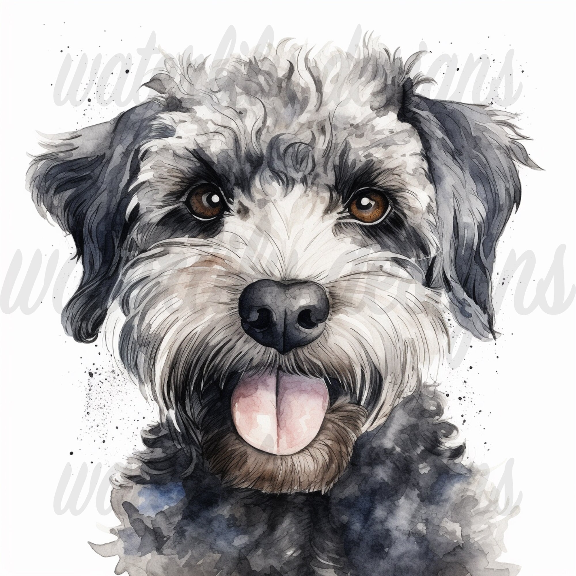 Schnoodle Clipart Bundle 11 High Quality Vibrant Jpgs, Printable ...