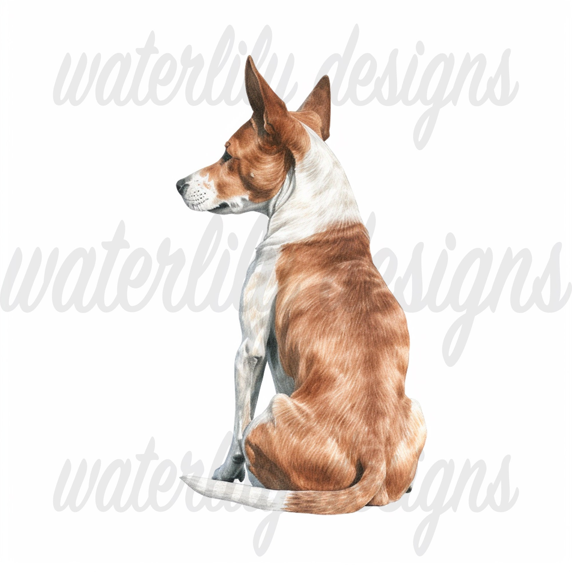 Basenji Clipart Bundle 8 High Quality Vibrant Jpgs, Printable Planner ...