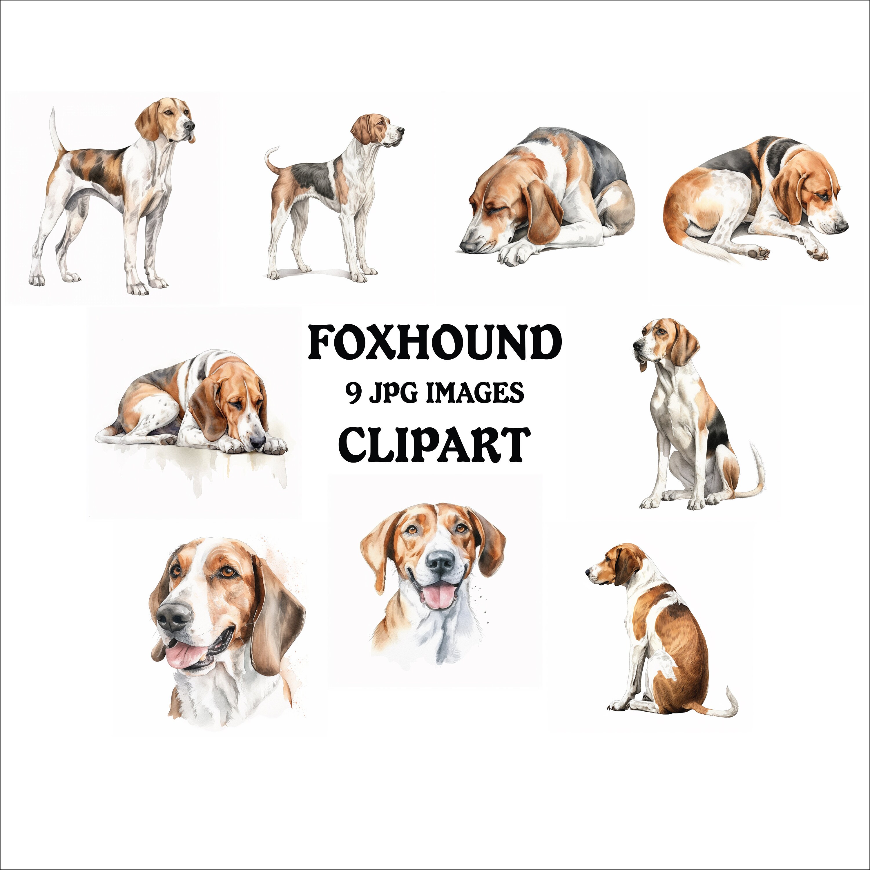 Foxhound Clipart Bundle - 9 High Quality Vibrant Jpgs, Printable ...
