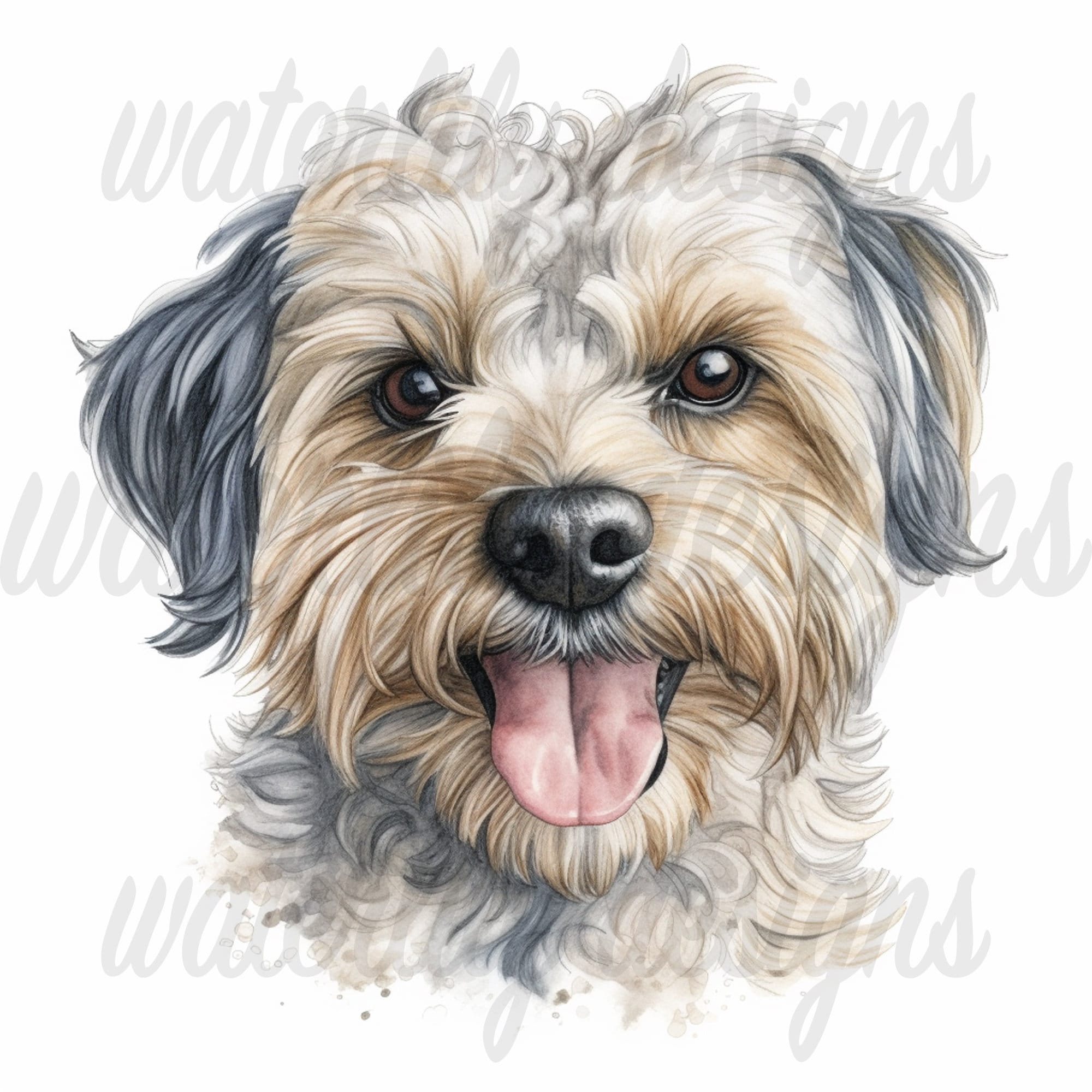 Yorkipoo Clipart Bundle: 8 Vibrant Jpgs, Commercial Use (digital ...