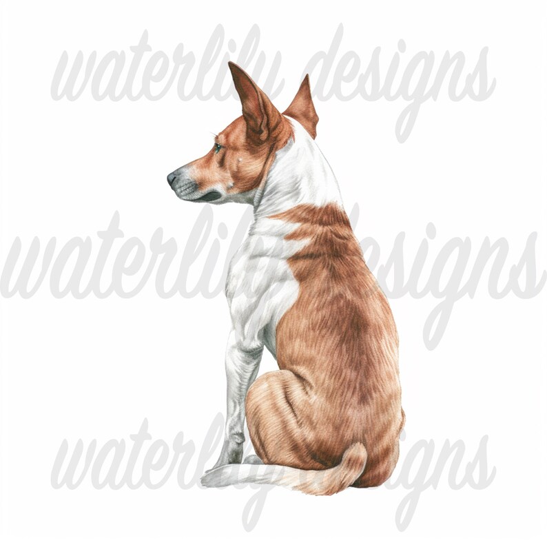 Basenji Clipart Bundle - 8 High Quality Vibrant Jpgs, Printable Planner ...