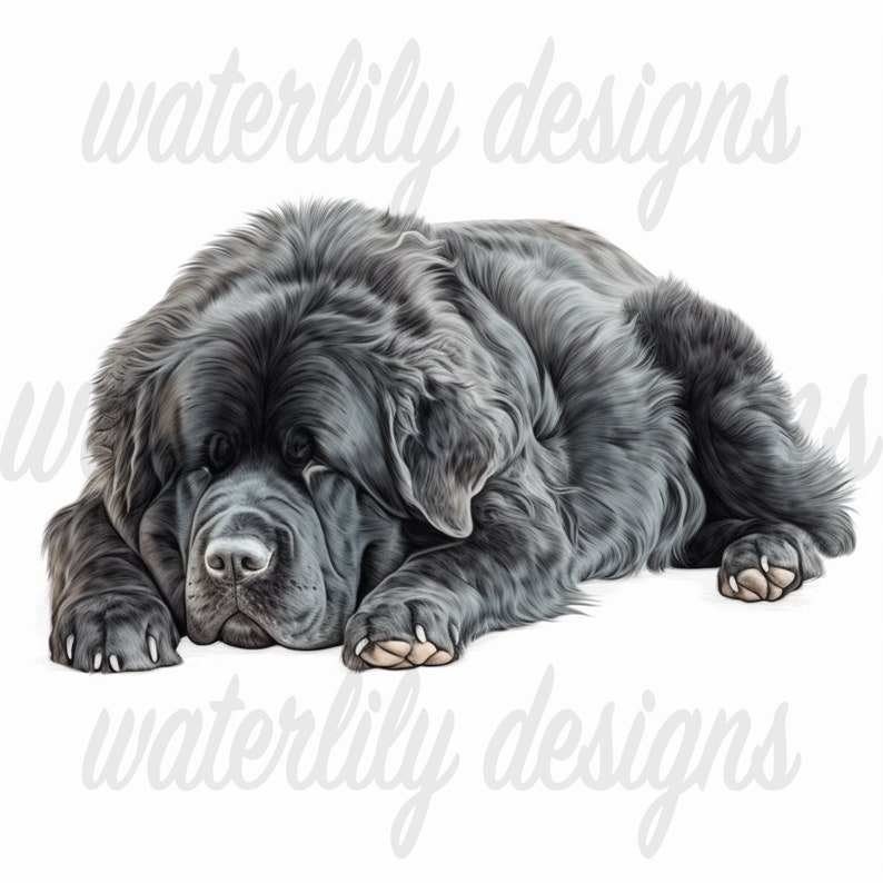 Newfoundland Clipart Bundle 13 High Quality Vibrant Jpgs, Printable ...