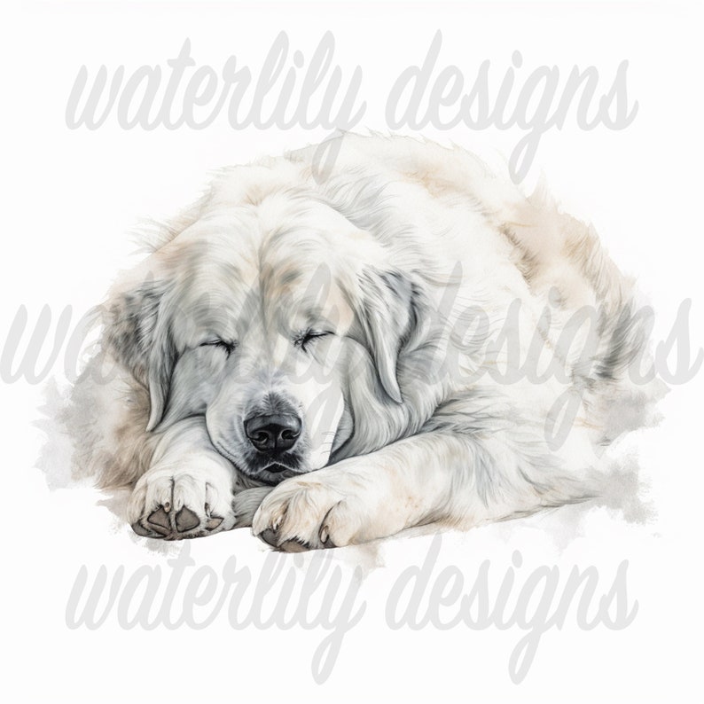 Great Pyrenees Clipart Bundle - 11 High Quality Vibrant Jpgs, Printable ...