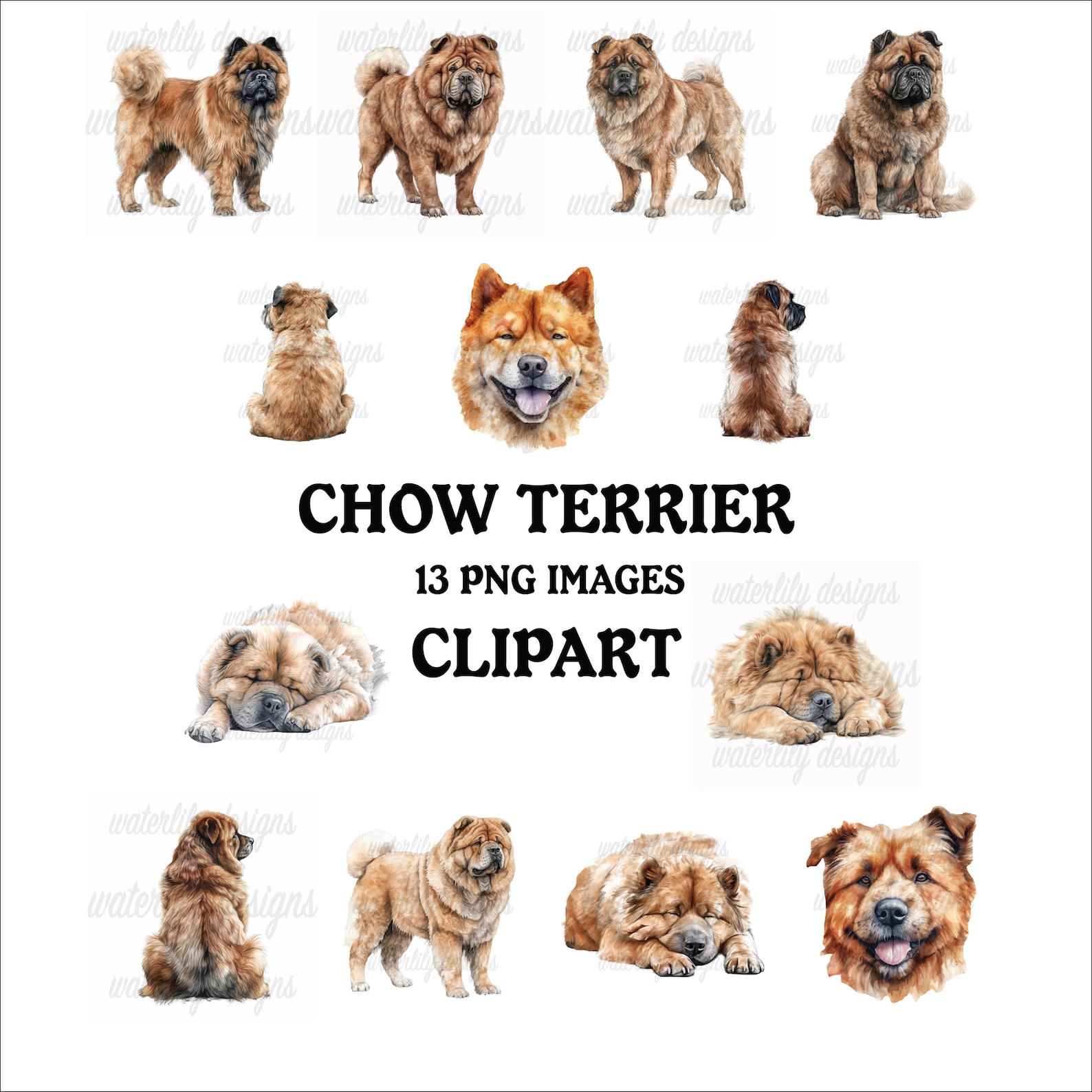 Chow Terrier Clipart Bundle: Watercolor PNG Images (digital Download ...