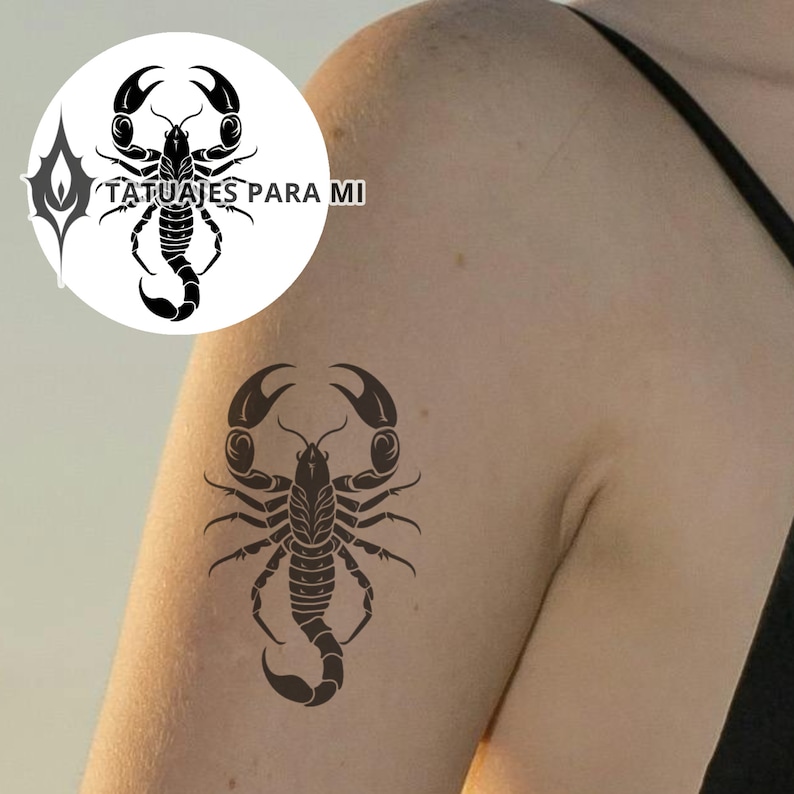 Cuatro Diseños De Tatuajes De Escorpio, Diseños Digitales, Colección ...