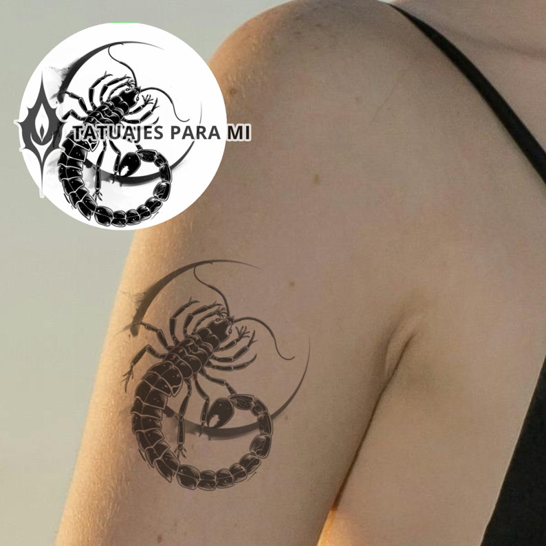 Cuatro Diseños De Tatuajes De Escorpio, Diseños Digitales, Colección ...