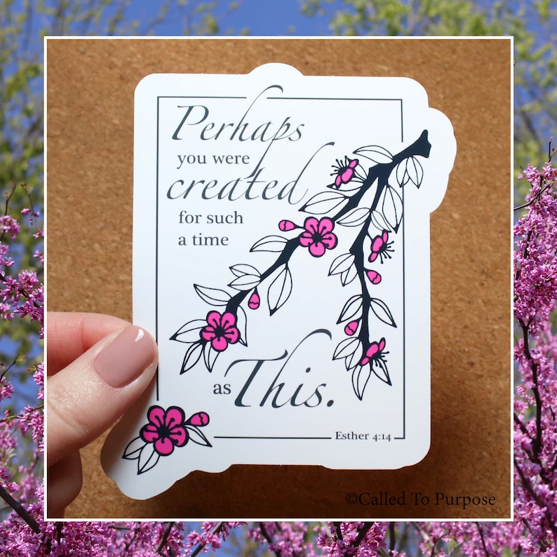 Hadassah Sticker || Matte Vinyl Sticker || Esther Sticker || Scripture ...