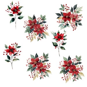 Christmas Poinsettia Watercolor Clipart, Mistletoe Floral Clipart ...