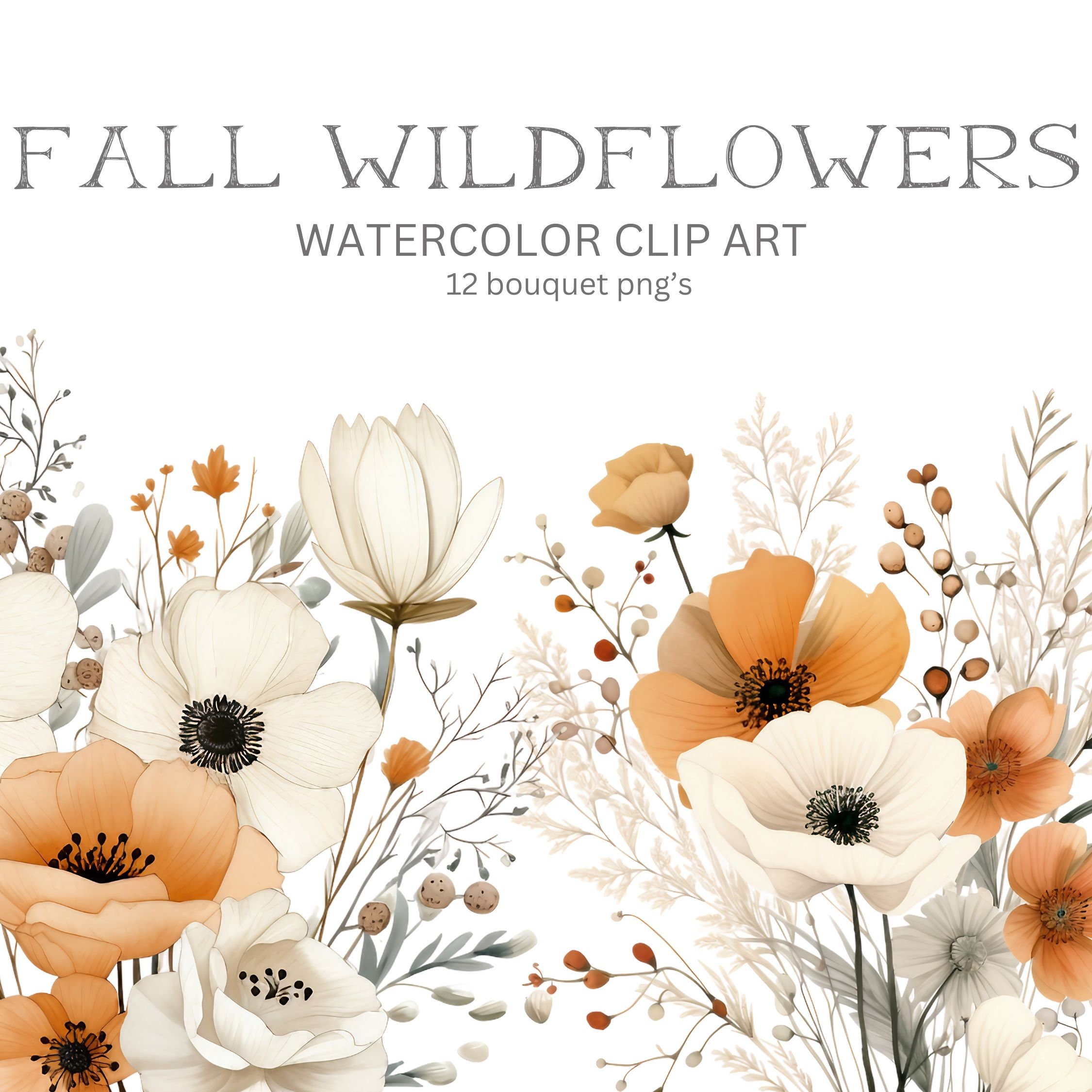 Fall Wildflower Watercolor Clipart, Floral Clipart, Autumn Floral ...