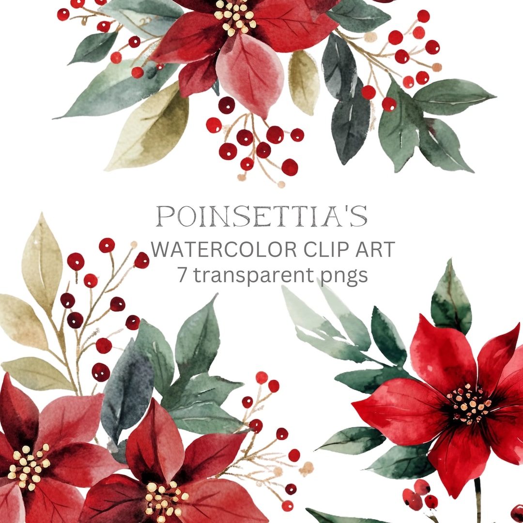 Christmas Poinsettia Watercolor Clipart, Mistletoe Floral Clipart ...