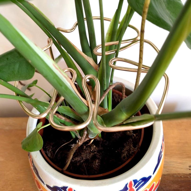 The Earth's Poles - Etsy