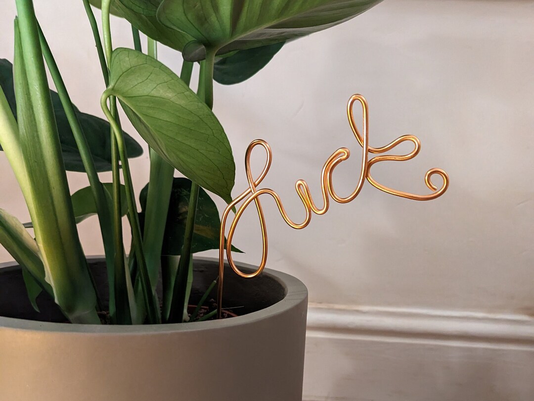 Plant Decoration Copper Coloured Fuck Etsy
