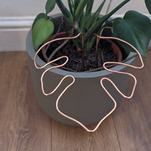 Monstera Shaped Plant Support - Copper Coloured - Etsy