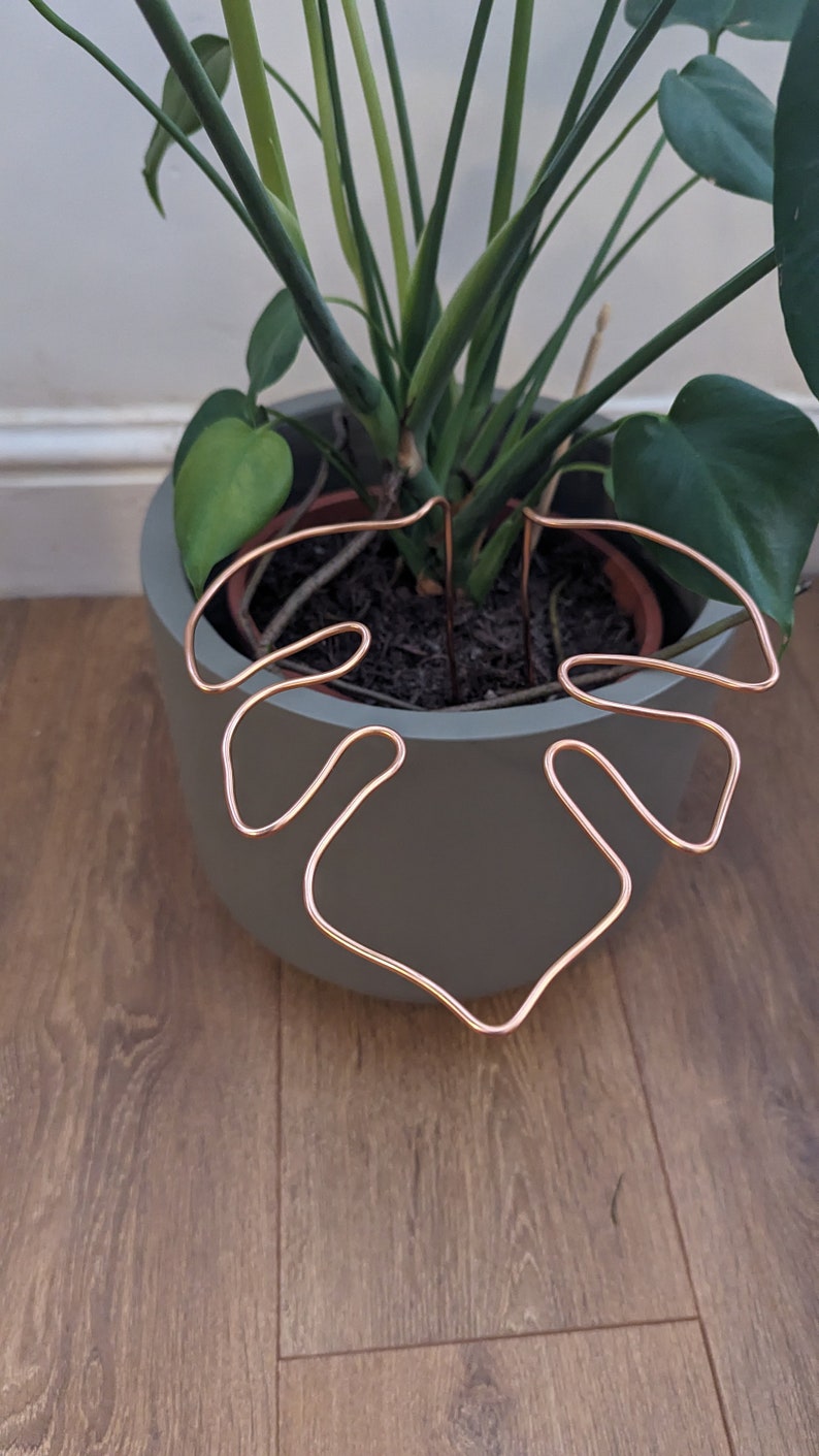 Monstera Shaped Plant Support - Copper Coloured - Etsy
