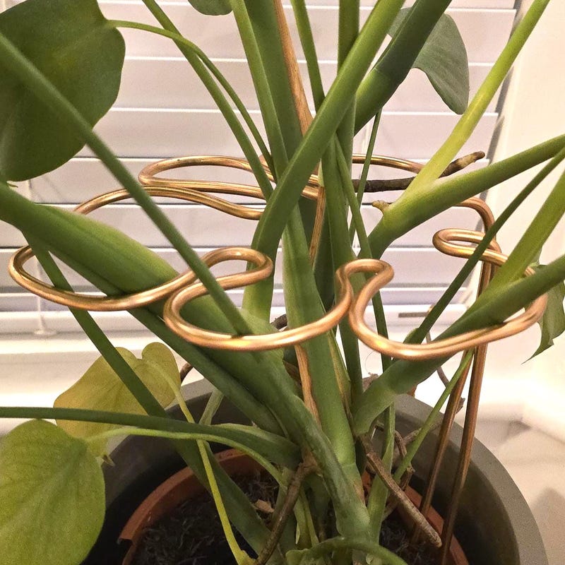 Black Plant Trellis Tall - Etsy