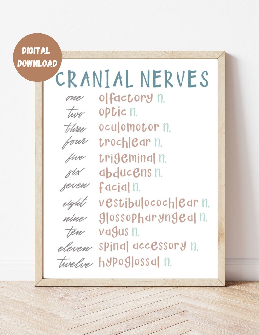 Cranial Nerves Poster, Therapy Wall Art, Neuro Poster - Etsy