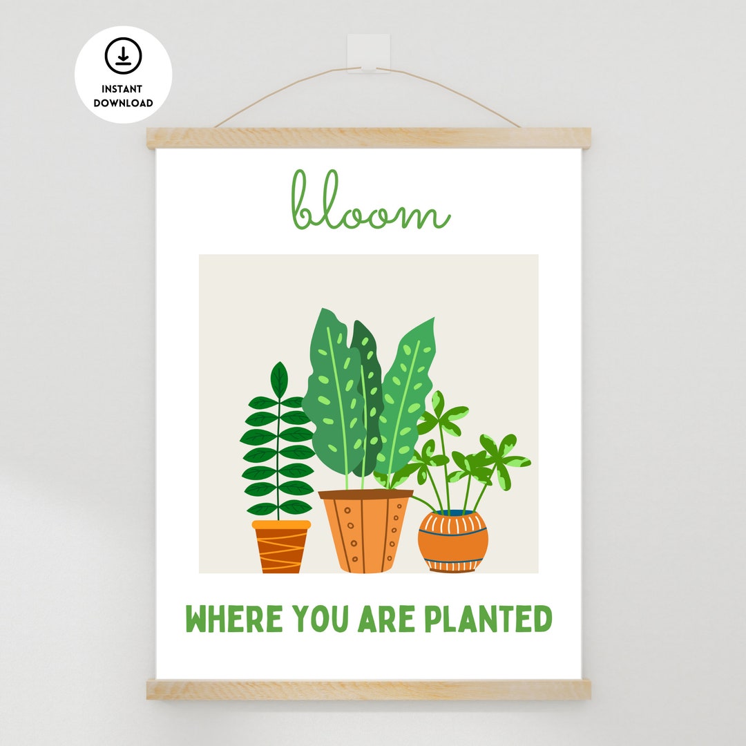 Bloom Where You Are Planted Poster, Therapy Office Decor, School ...