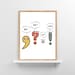 Grammer Poster, Grammar Classroom Poster, Punctuation Poster, Grammar ...