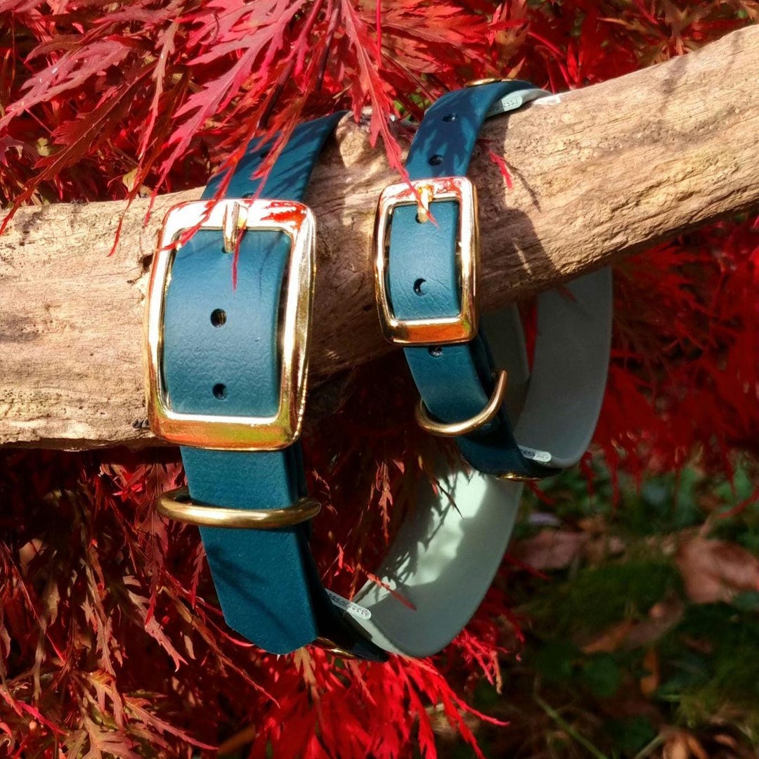 Biothane Dog Collar - Sage and Dark Green – Waterproof & Durable – Gold ...