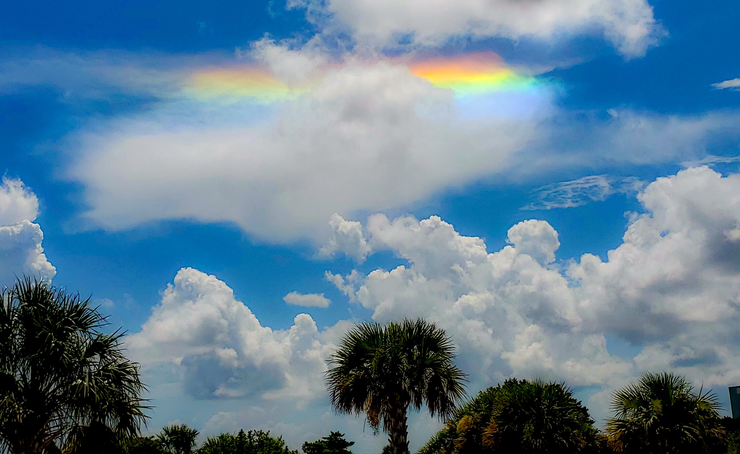Download Printable Photo Rainbow Cloud - Etsy