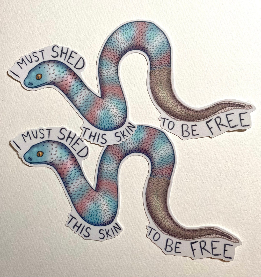 Snake Trans Sticker Snake Sticker Queer Sticker Lgbt Lgbt Art ...